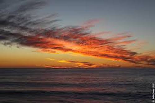 Sip-and-Sniff Sunset Tour … the Perfect Holiday Season Day Trip - Happy ...
